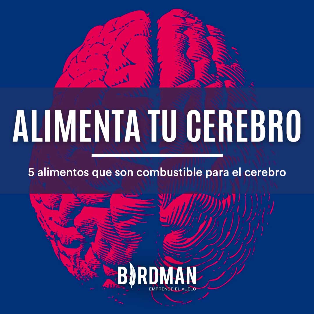 5 Alimentos Para El Cerebro Vida Birdman Blog Vidabirdman