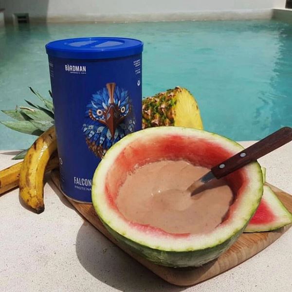 ¿Con qué puedes mezclar Falcon Protein? | Vida Birdman Blog