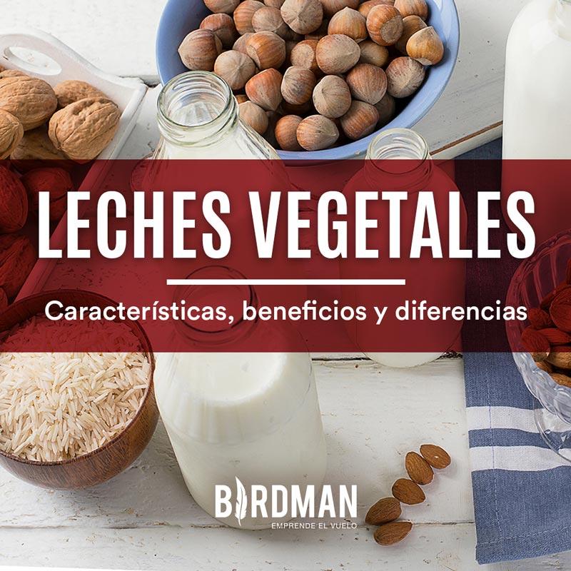 Las Leches Vegetales Comparadas — Birdman MX