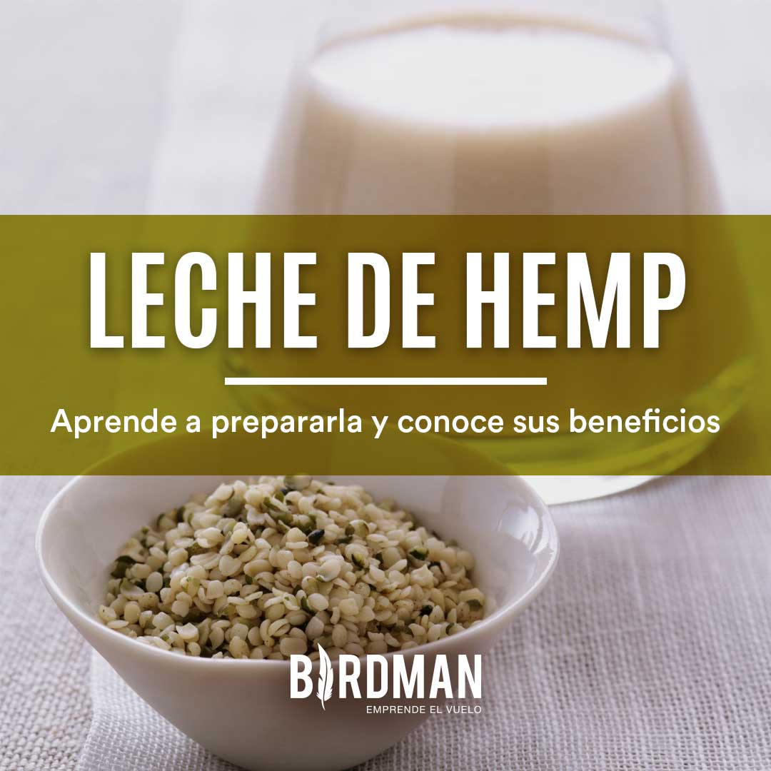 Leche de Hemp: Cómo Hacerla y sus Propiedades — Birdman MX