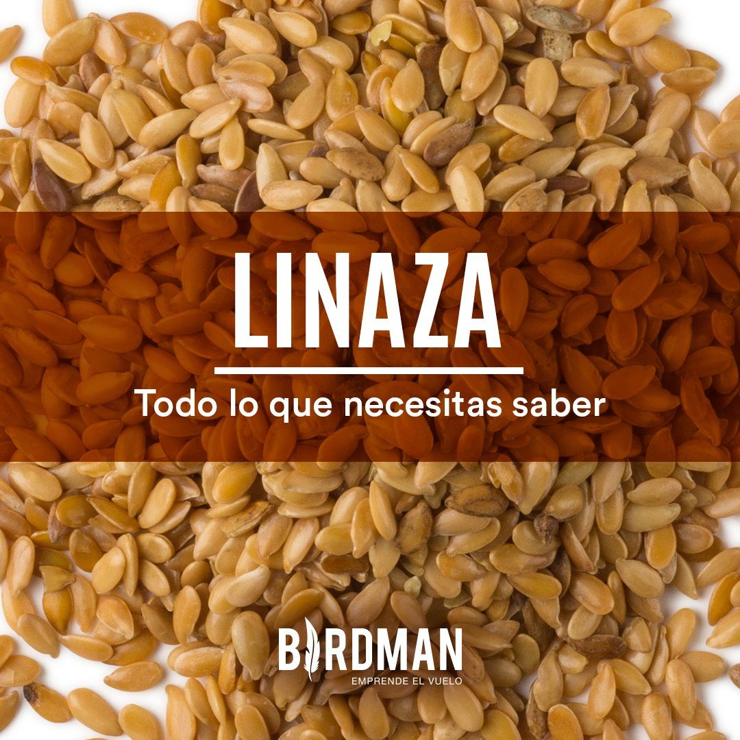La Linaza: Qué Es, Cómo Tomarla, Beneficios y Recetas - Birdman Blog ...