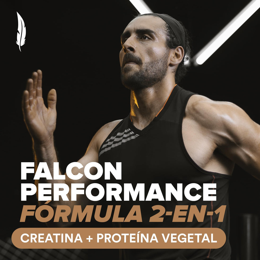 Falcon Performance Choco Bronze 10 Pack Sobres