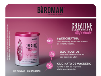 Creatine Electrolyte Refresher - Pink Lemonade — Birdman MX