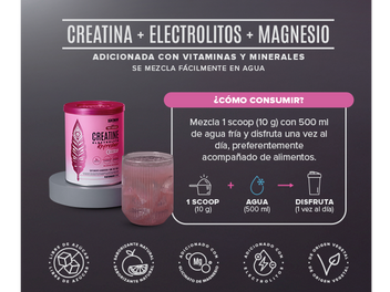 Creatine Electrolyte Refresher - Pink Lemonade — Birdman MX