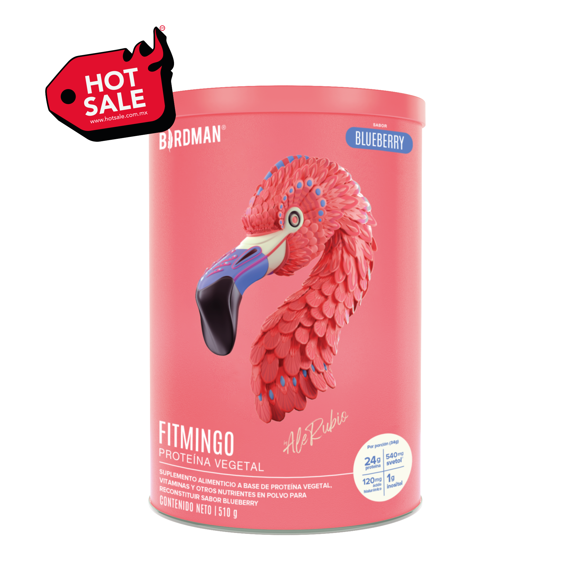 Fitmingo Protein Blueberry 510 g - 15 Servicios – VidaBirdman