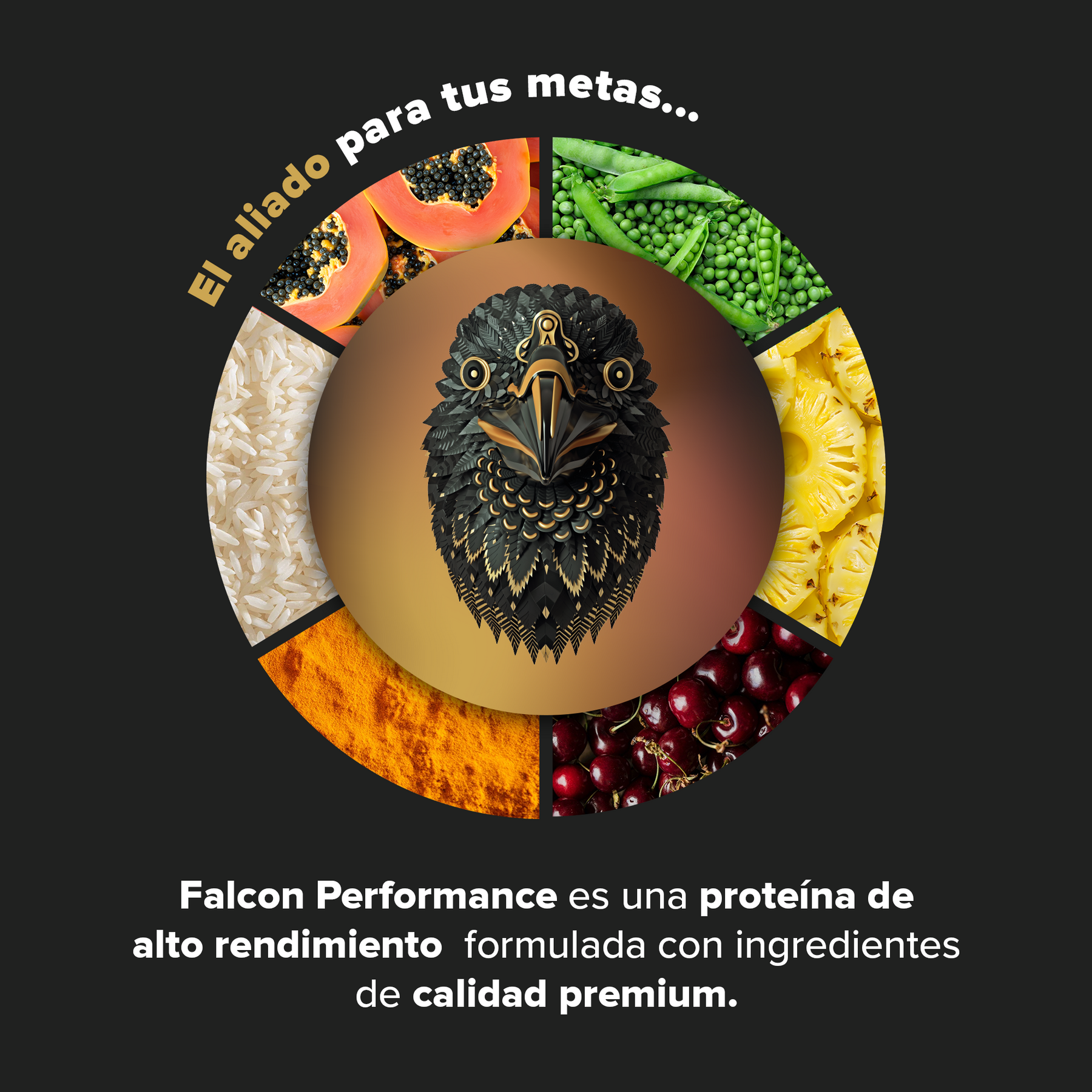 Falcon Performance Choco Bronze 1.14 kg - 30 Servicios