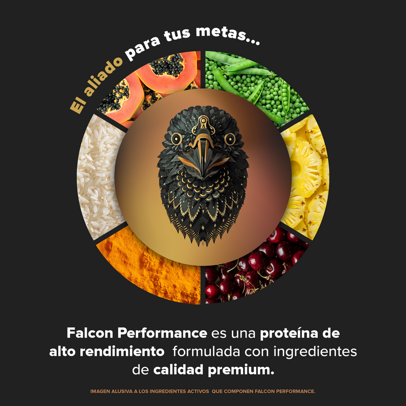 Falcon Performance Choco Bronze 1.9 kg - 50 Servicios